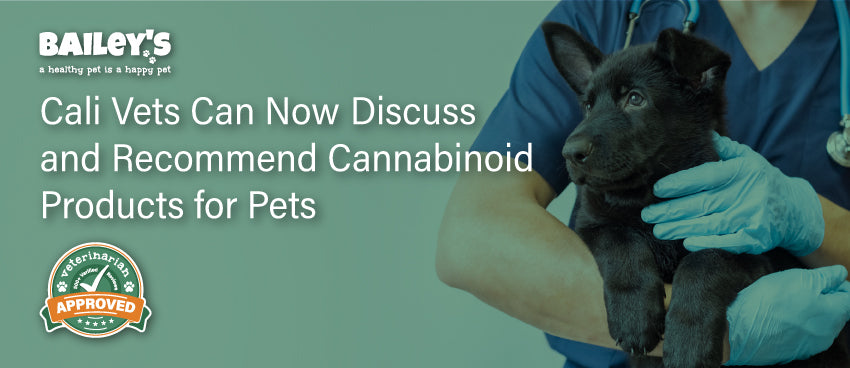Cali Vets Can Now Discuss and Recommend Cannabinoid Products for Pets