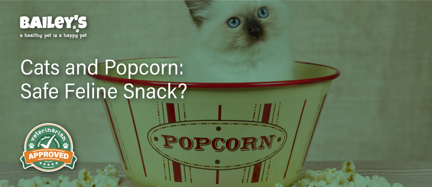 Popcorn for Cats: A Safe Snack? | Bailey's CBD