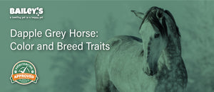 Exploring Dapple Grey Horse: Unique Colors & Traits Guide