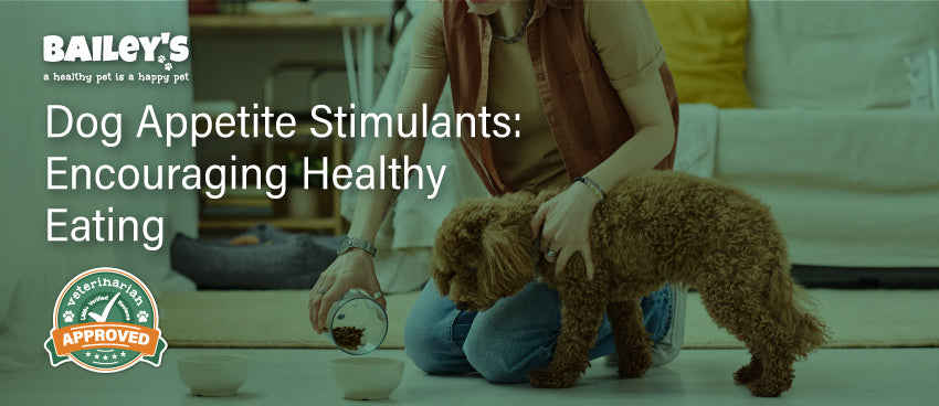 Dog Appetite Stimulants: Tips for Healthy Eating