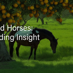 Oranges for Horses: Essential Equine Feeding Insights