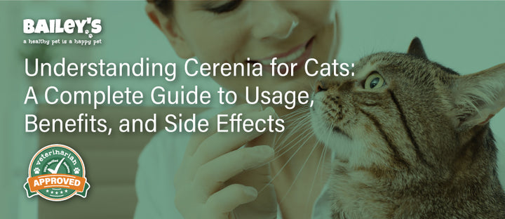 Cerenia for Cats: Usage, Benefits & Side Effects Explained