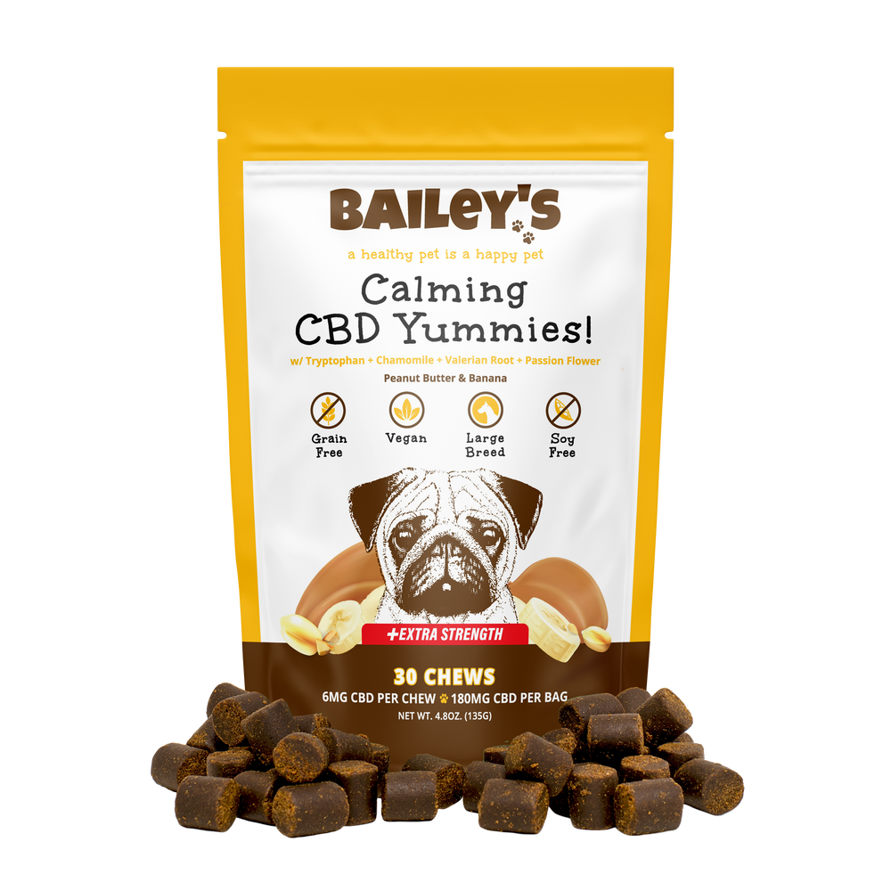 Calming CBD Yummies | Best Chewy CBD Dog Treats 2025
