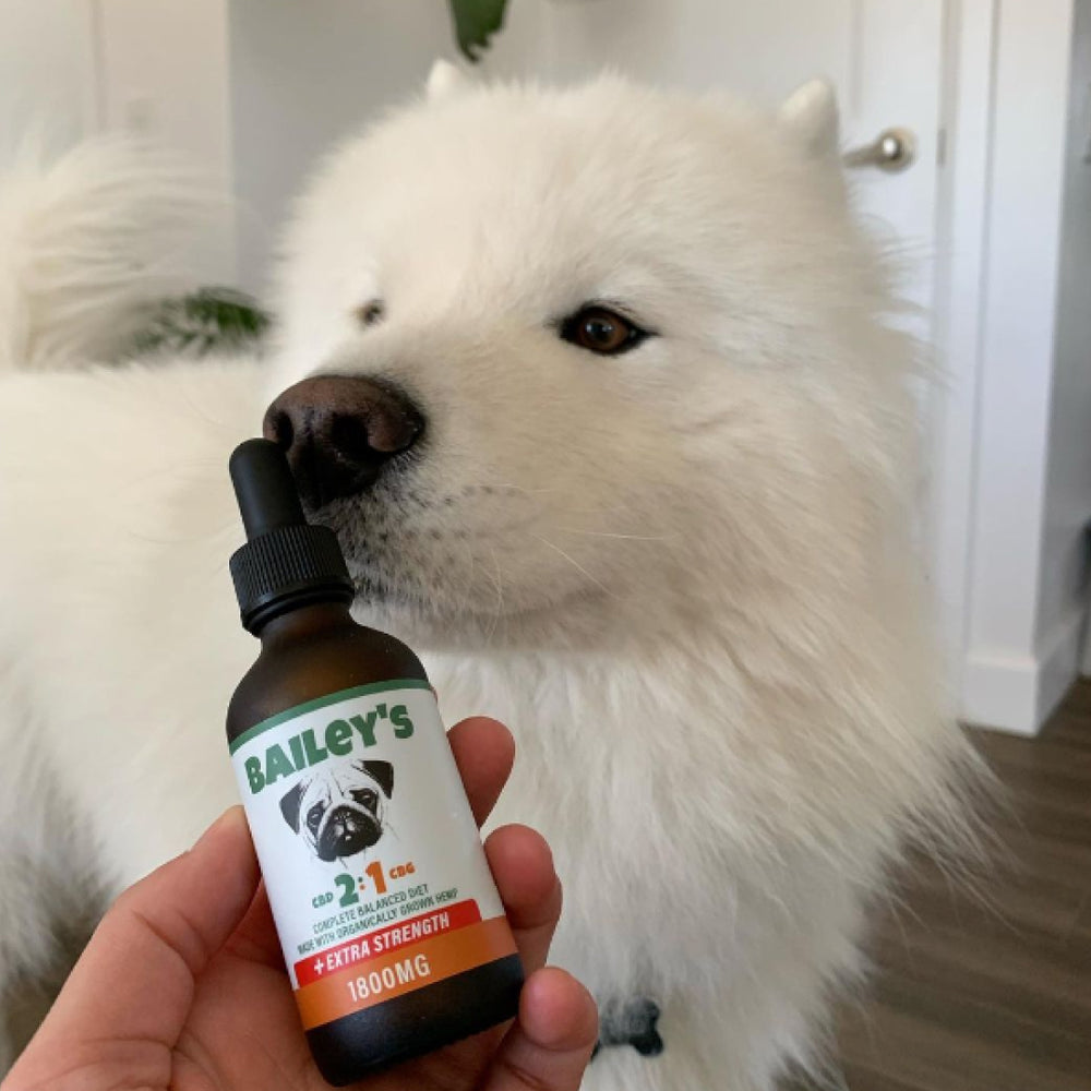 Bailey's Extra Strength 2:1 CBD & CBG Oil For Dogs